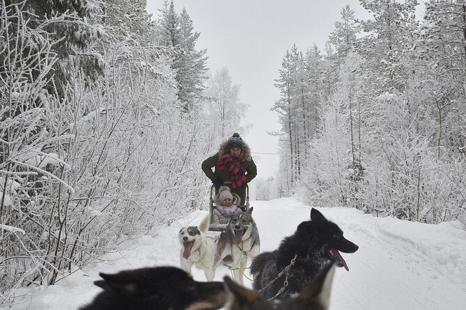 Rovaniemi: Husky Safari Tour & 6-10 Km Self-Driving Mushing - Participants Requirements and Additional Information