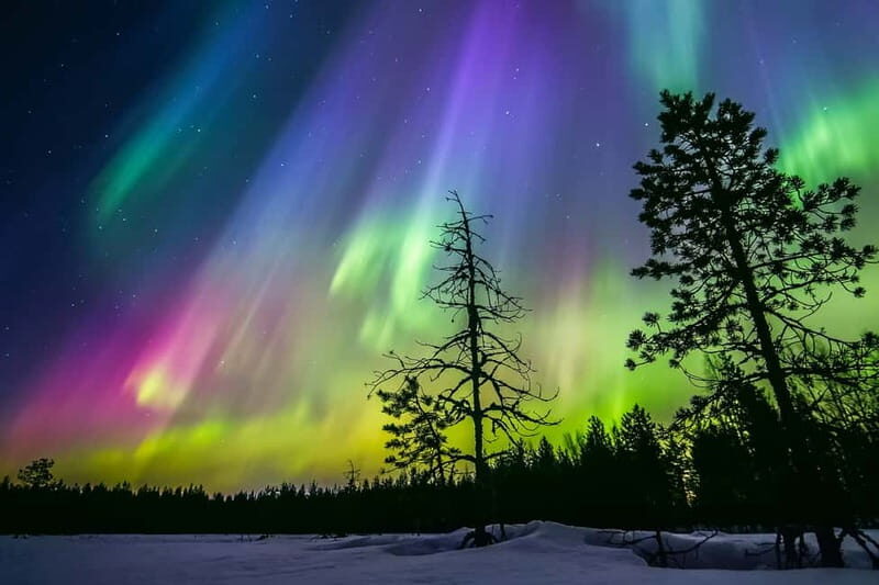 Rovaniemi: Ice Floating in Forest Lake with Aurora Borealis - Key Points