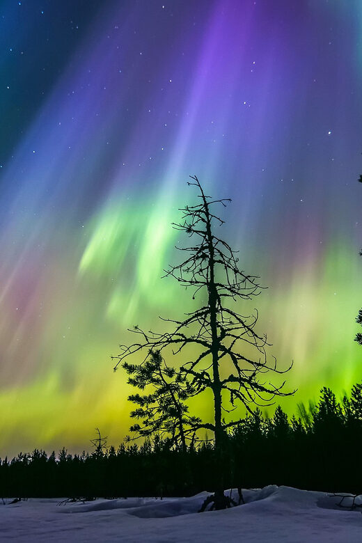 Rovaniemi: Ice Floating in Forest Lake with Aurora Borealis - Final Thoughts