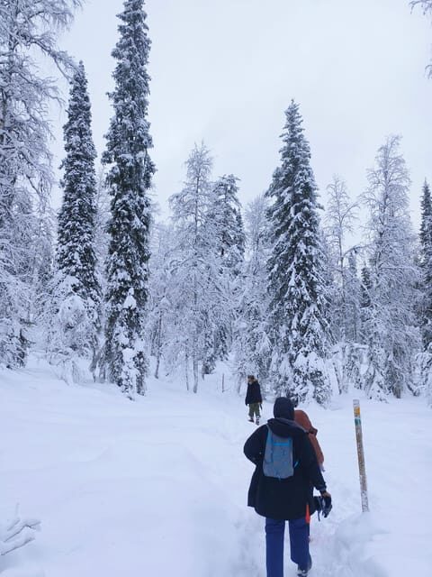Rovaniemi: Korouoma Canyon Frozen Waterfalls Guided Hike - A Practical Look at the Korouoma Canyon Frozen Waterfalls Guided Hike
