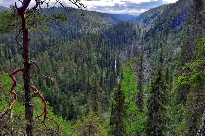 Rovaniemi: Korouoma Canyon & Waterfalls Tour With BBQ - Key Points