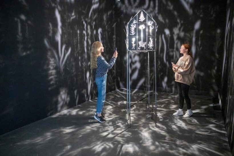 Rovaniemi: Korundi Art Museum Entry Ticket - Who Should Consider Visiting Korundi?