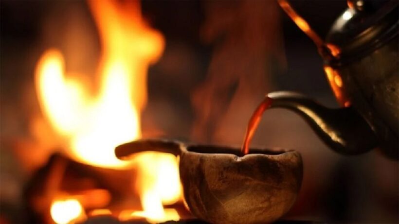 Rovaniemi: Lapland Northern Lights Tour with BBQ - Who Will Love This Tour?