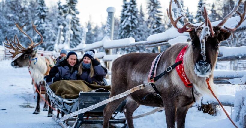 Rovaniemi: Local Reindeer Farm Visit with Sleigh Ride - Final Thoughts