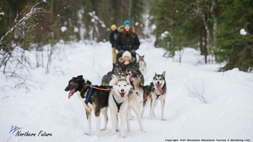 Rovaniemi: Meet Santa Claus, Reindeer Sleigh Ride & Huskies - Who Is This Tour Best For?