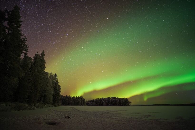 Rovaniemi: Night Sky lappish Barbecue - Price and Value