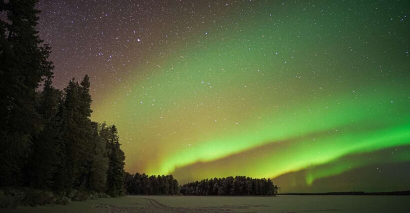 Rovaniemi: Night Sky lappish Barbecue - Practical Tips for Travelers