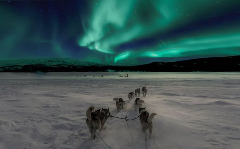 Rovaniemi: Northern Lights and Husky Sleigh Ride - Key Points