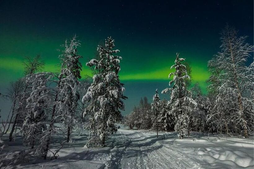 Rovaniemi: Northern Lights and Husky Sleigh Ride - An In-Depth Look at the Rovaniemi Husky and Northern Lights Tour