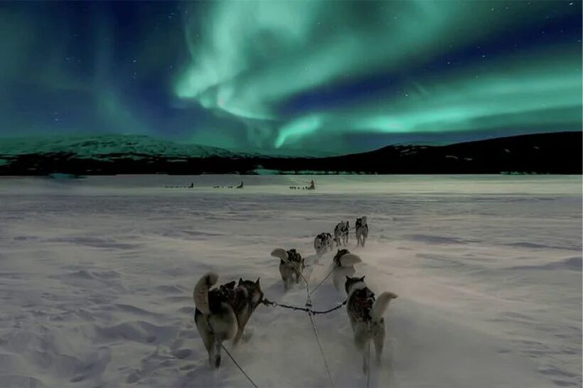 Rovaniemi: Northern Lights and Husky Sleigh Ride - Frequently Asked Questions