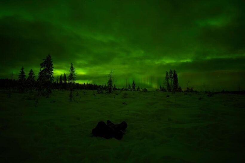 Rovaniemi: Northern Lights Tour at the Campfire - An Honest Look at the Northern Lights at the Campfire Tour