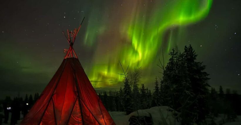 Rovaniemi: Northern Lights Tour at the Campfire - Who Will Love This Tour?