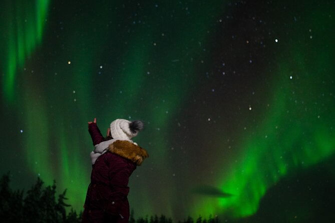 Rovaniemi: Northern Lights Tour - Inclusions and Amenities