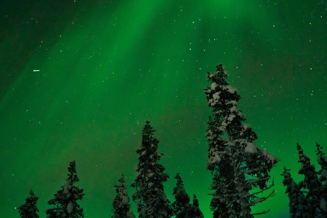 Rovaniemi: Northern Lights Tour - Customer Experience and Reviews
