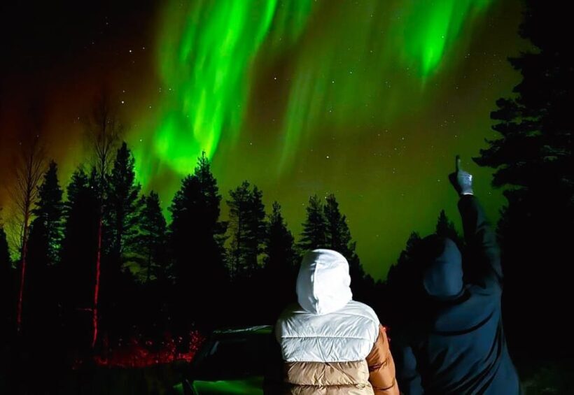 Rovaniemi: Northern Lights Tour with BBQ - The Practicalities: What You Need to Know