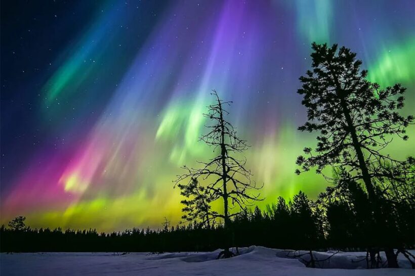 Rovaniemi: Northern Lights Trip with Arctic Sauna & Jacuzzi - The Sum Up