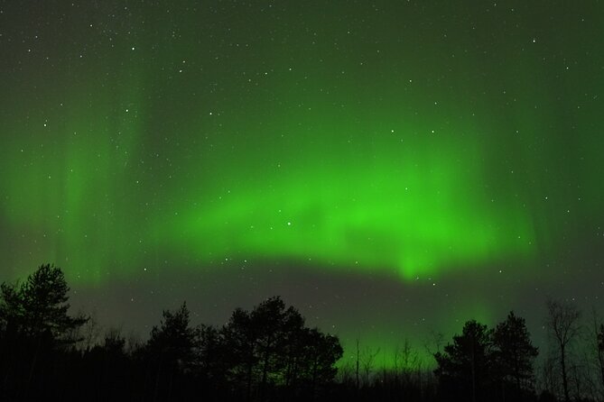 Rovaniemi Northern Lights: Unlimited Hunt With a Guaranteed Sight - Intimate Group Experience