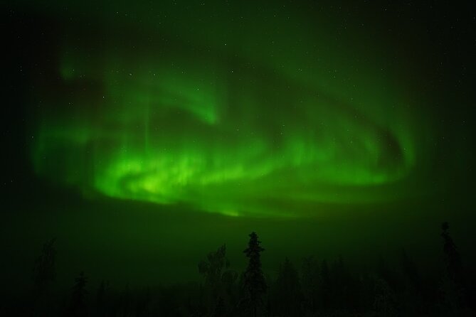 Rovaniemi Northern Lights: Unlimited Hunt With a Guaranteed Sight - Inclusions and Highlights