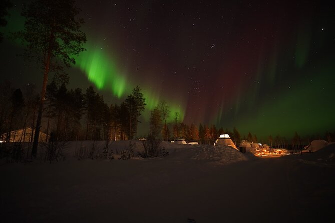 Rovaniemi Northern Lights: Unlimited Hunt With a Guaranteed Sight - Pricing and Booking Details