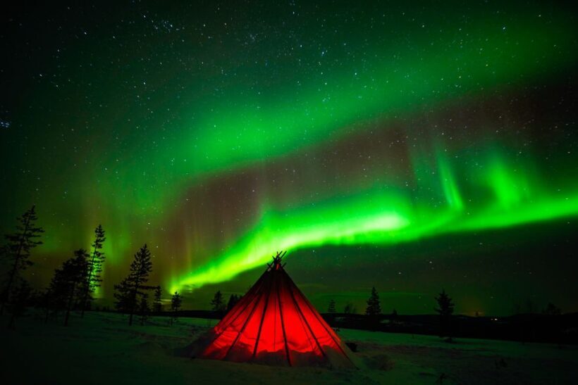 Rovaniemi: Northern Lights Wilderness Tour with Camera - Key Points