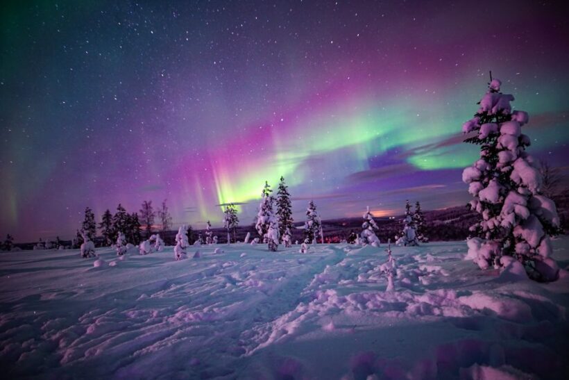 Rovaniemi: Northern Lights Wilderness Tour with Camera - Final Thoughts