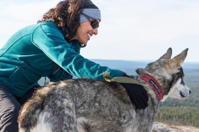 Rovaniemi: One Hour Husky Experience - A Closer Look at the Experience