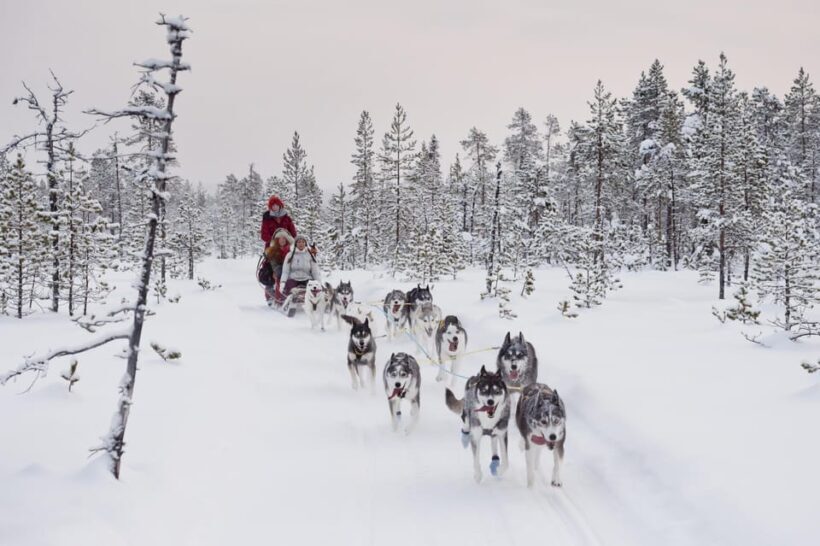 Rovaniemi: One Hour Husky Experience - FAQ