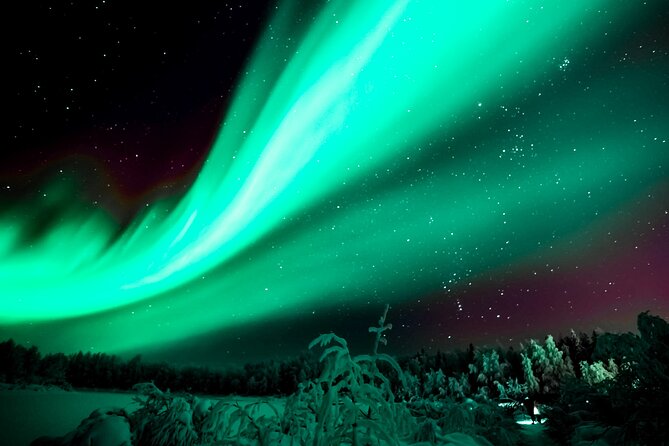 Rovaniemi: Private Aurora Tour With Guaranteed Sightings - Guaranteed Northern Lights Viewing