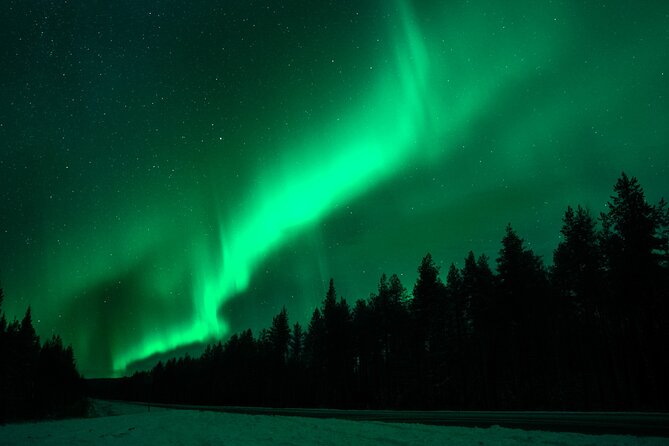 Rovaniemi: Private Aurora Tour With Guaranteed Sightings - Professional Photography Service