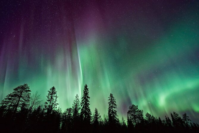 Rovaniemi: Private Aurora Tour With Guaranteed Sightings - Pricing and Booking Details
