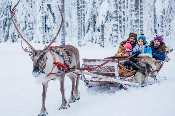 Rovaniemi Private Transfer from Rovaniemi city centre to Rovaniemi airport - Is This Transfer Right for You?