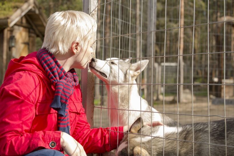 Rovaniemi: Quad Bike Safari, Reindeer & Husky Farm Visit - A Detailed Look at the Tour Experience