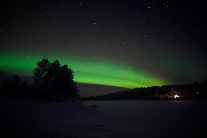Rovaniemi RealNorthern Lights Photo Hunting - What to Expect During the Aurora Hunting Experience