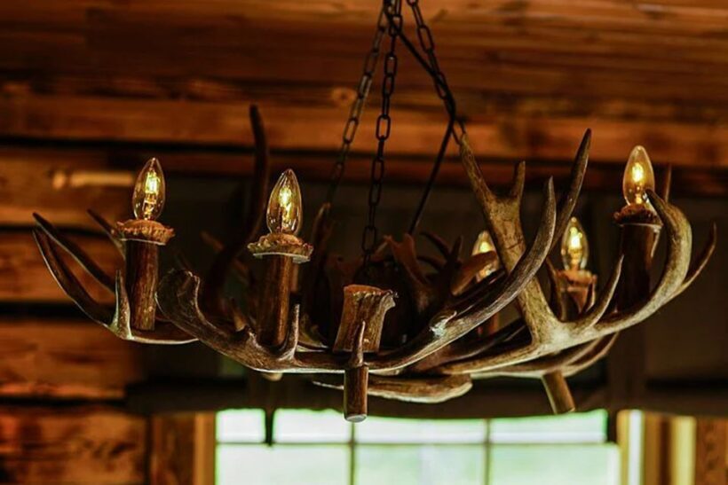 Rovaniemi: Reindeer Farm Visit in the Summer - Rovaniemi: Reindeer Farm Visit in the Summer