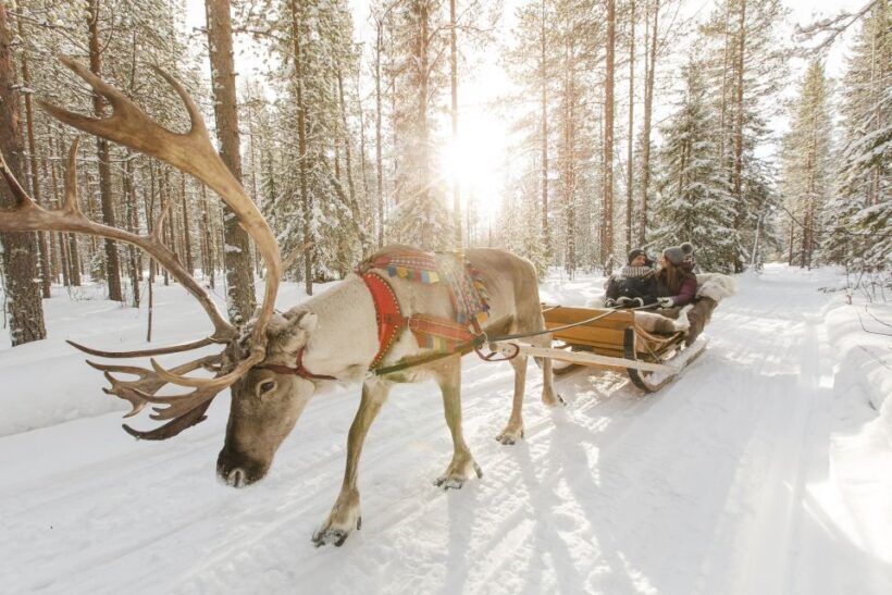 Rovaniemi: Reindeer, Huskies, Santa's Pets & Aurora Hunt - Final Thoughts: Who Should Consider This Tour?