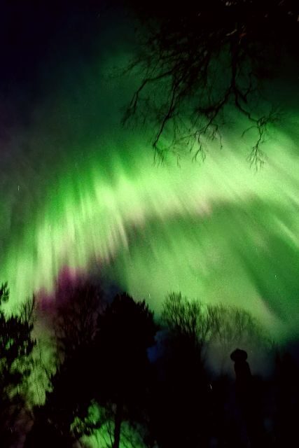 Rovaniemi: Reindeer, Huskies, Santa's Pets & Aurora Hunt - FAQs