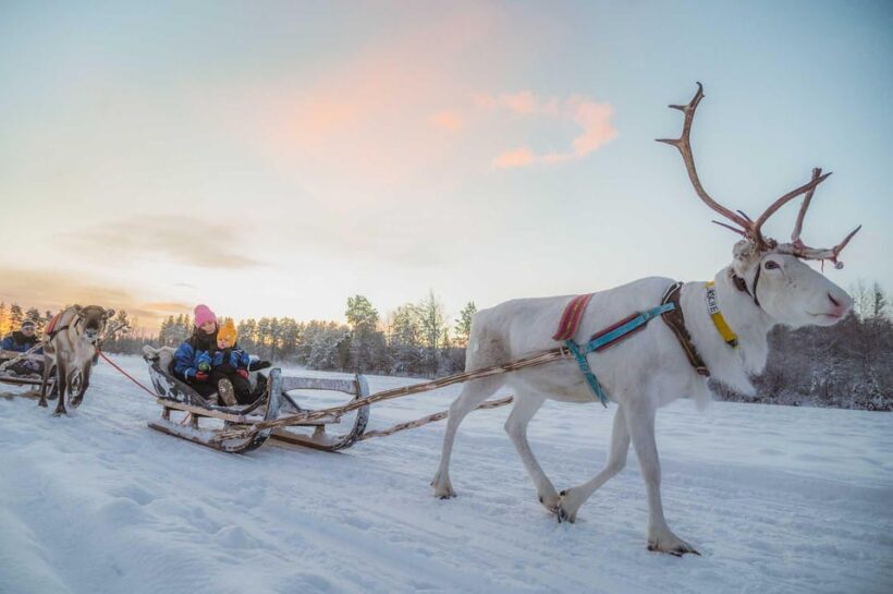 Rovaniemi: Reindeer Ride to Santa through the Magic Forest - Rovaniemi: Reindeer Ride to Santa through the Magic Forest