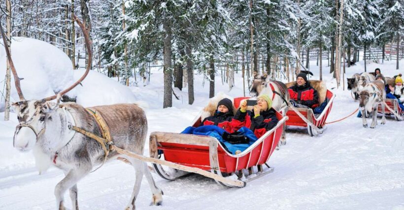 Rovaniemi: Reindeer Sleigh Ride with Hot Drink and Cookies - The Sum Up: Why You Should Consider This Reindeer Ride