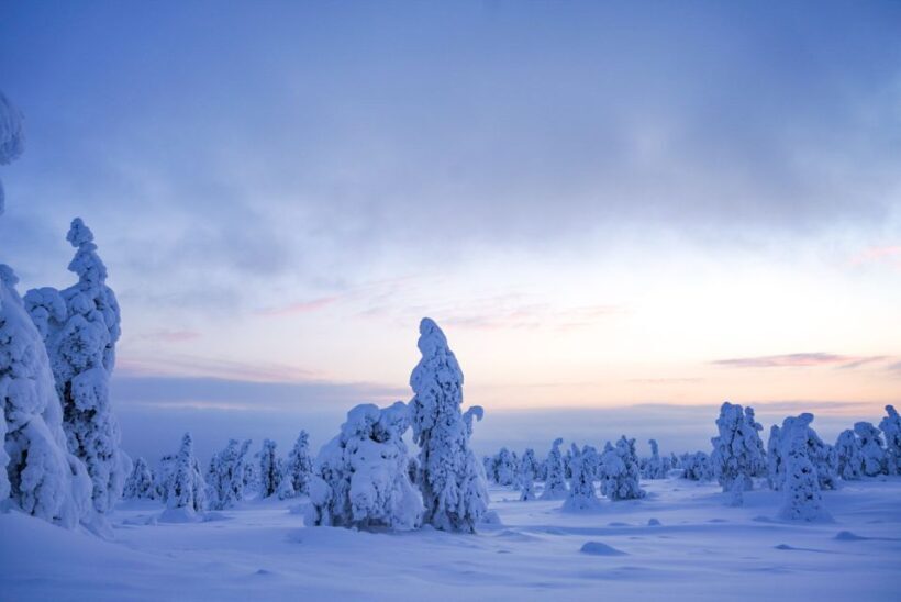 Rovaniemi: Riisitunturi National Park Day Trip with Lunch - The Experience: What Makes It Special