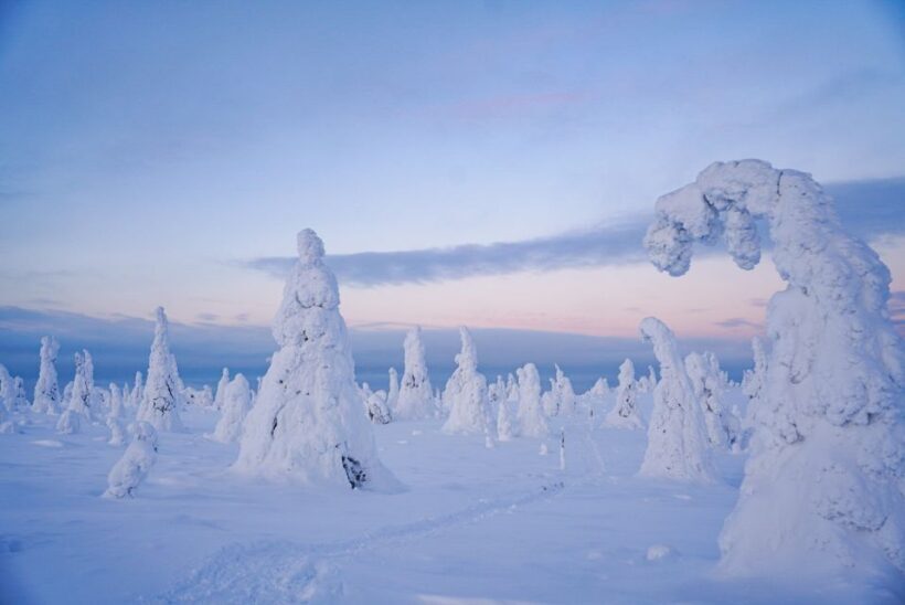 Rovaniemi: Riisitunturi National Park Day Trip with Lunch - Practical Details & Tips