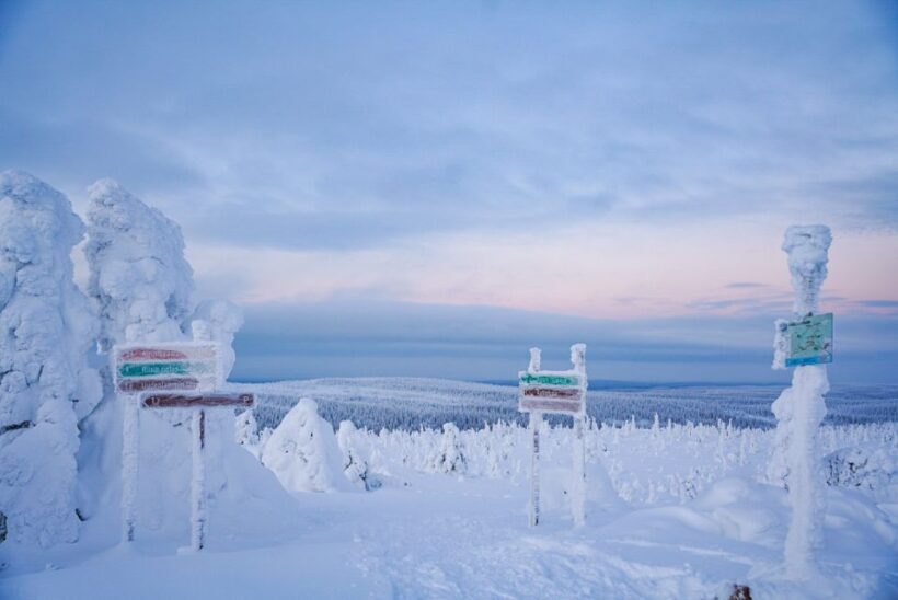 Rovaniemi: Riisitunturi National Park Day Trip with Lunch - The Sum Up