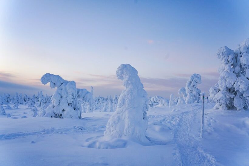 Rovaniemi: Riisitunturi National Park Day Trip with Lunch - FAQ