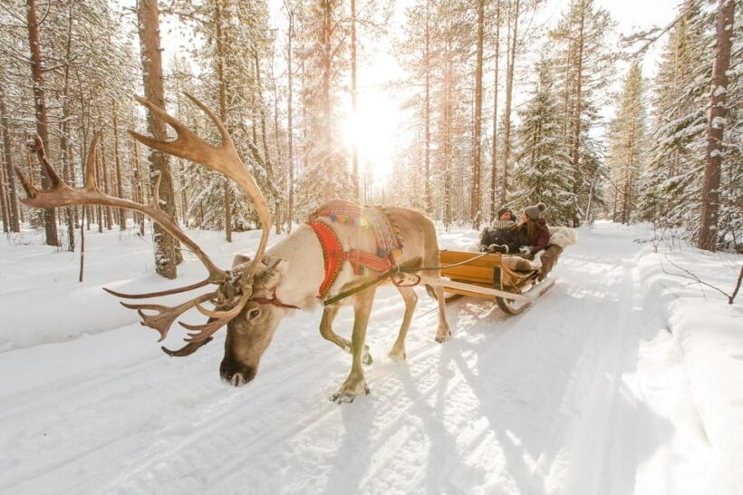 Rovaniemi: Santa Claus Village + Husky & Reindeer Sled Ride - Detailed Review of the Rovaniemi Santa Claus + Husky & Reindeer Sled Ride Tour