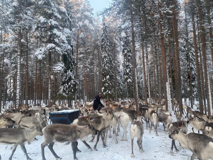 Rovaniemi: Santa Claus Village Tour Huskies & Reindeer ride - FAQ