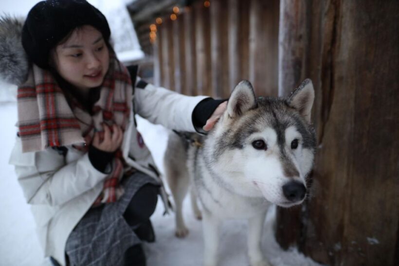 Rovaniemi: Santa Claus Village Tour Huskies & Reindeer Visit - Key Points