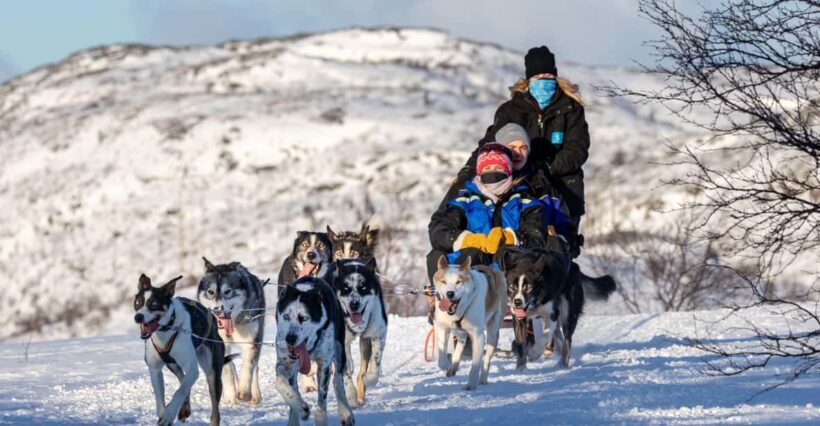 Rovaniemi: Santa's Village, Husky, & Reindeer Sled Ride - Exploring Santa’s Village in Rovaniemi