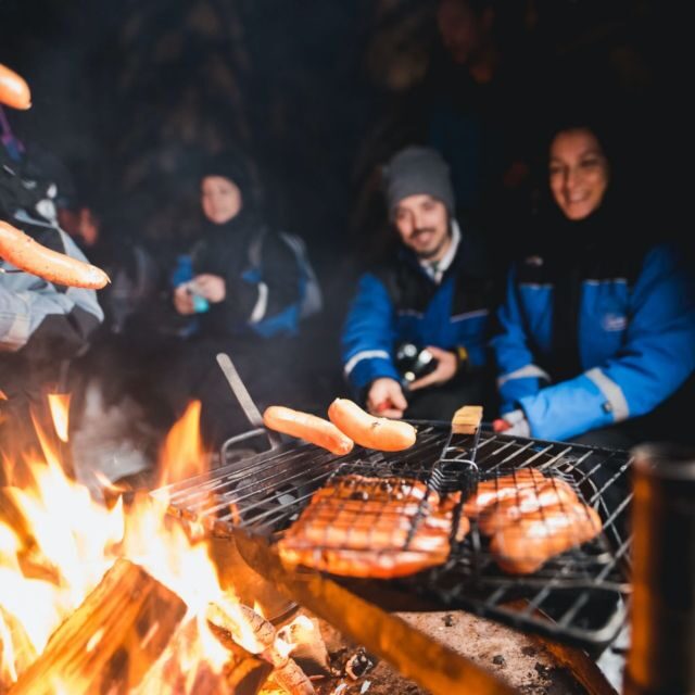 Rovaniemi: Search for Northern Lights Snowmobiling Trip - An In-Depth Look at the Snowmobiling Adventure