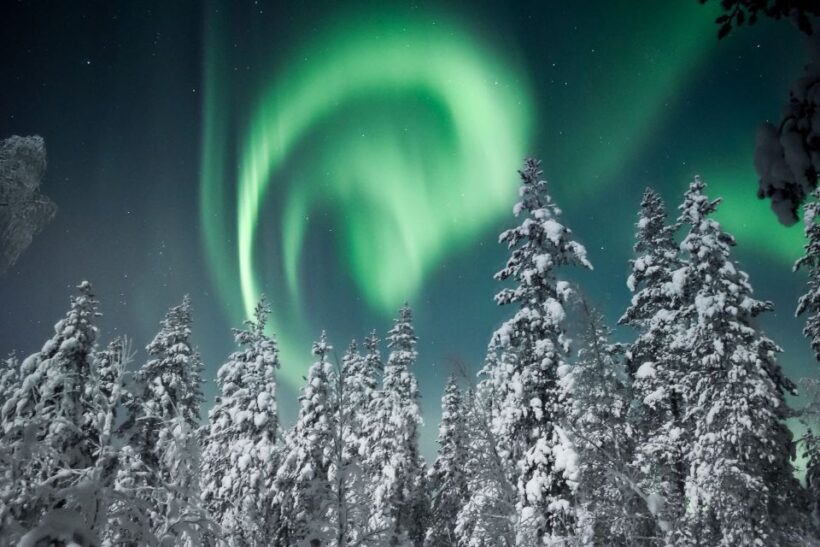 Rovaniemi: Search for Northern Lights Snowmobiling Trip - The Sum Up