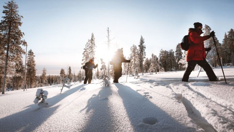 Rovaniemi: Ski Trekking Safari in Lapland - The Sum Up