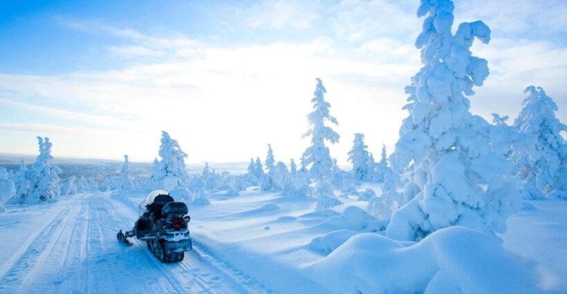 Rovaniemi: Snowmobile Safari in the Arctic Circle - What Makes This Tour Stand Out?